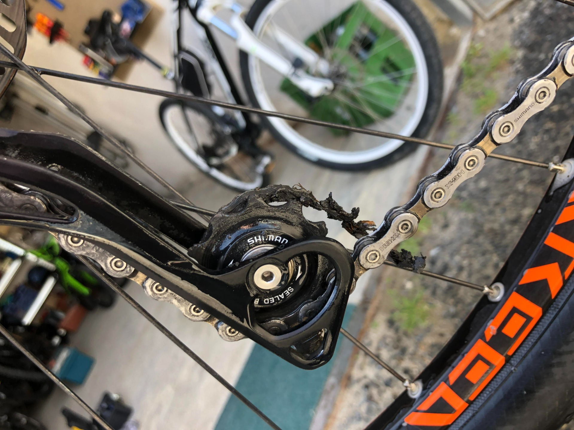 Fotogalerie :: MTB PEPE BIKE