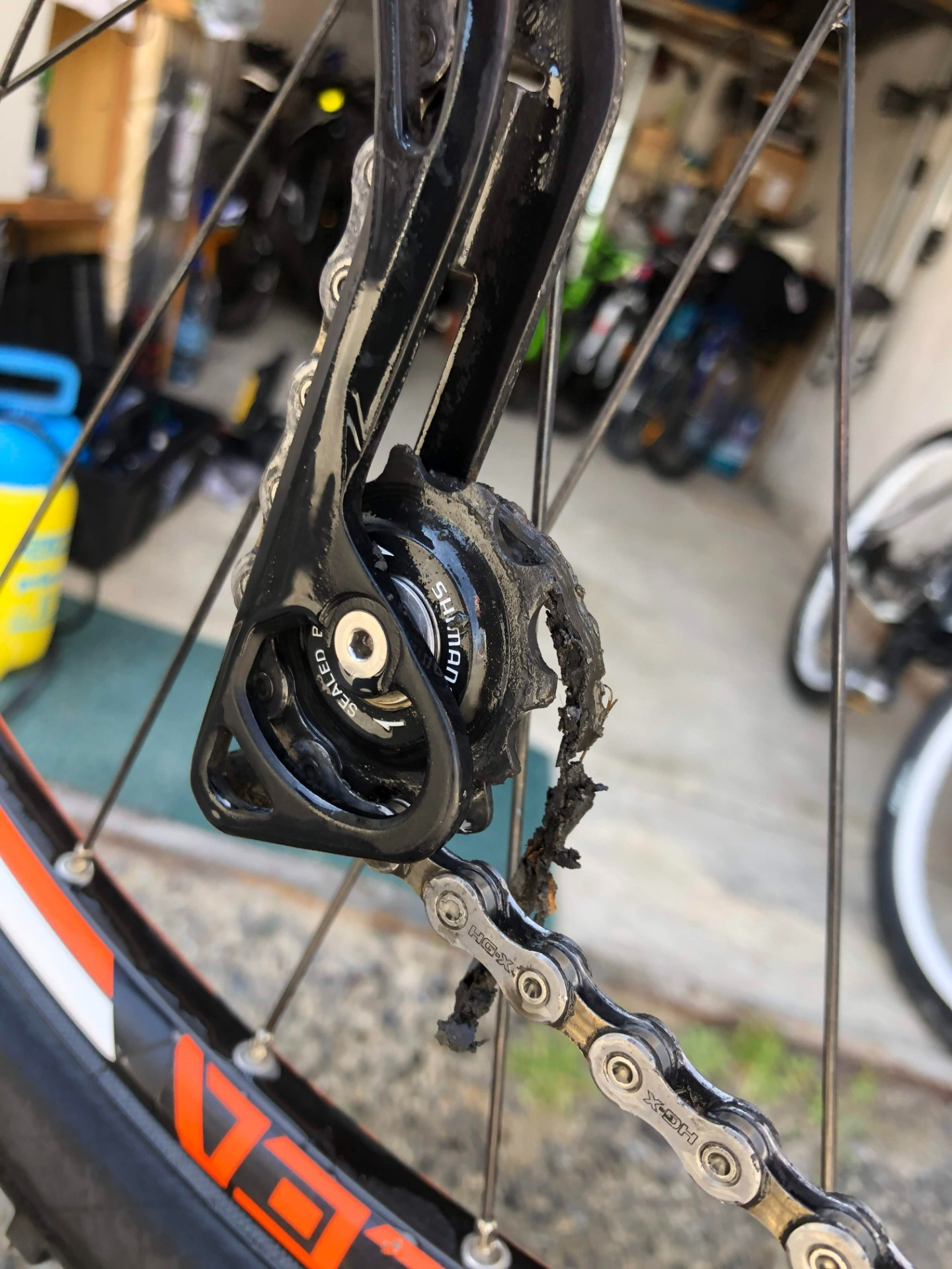 Fotogalerie :: MTB PEPE BIKE